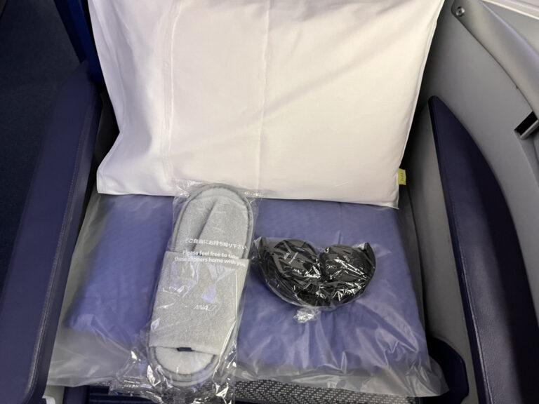 【ANA】NH806ボーイング787-9バンコク→成田ビジネスクラス搭乗記☆機内食などクチコミ紹介